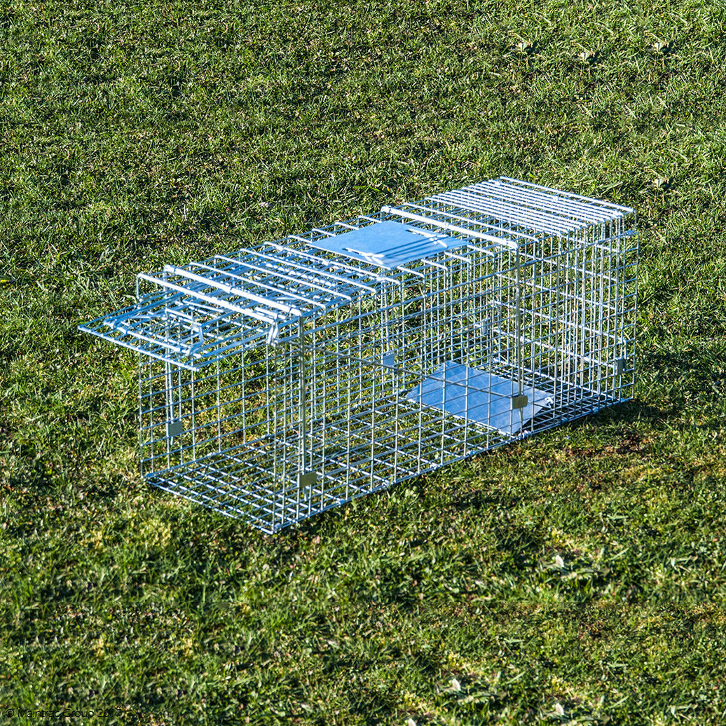 Large Cage Trap | Possum Trap | Cat Trap — Pestgard Traps