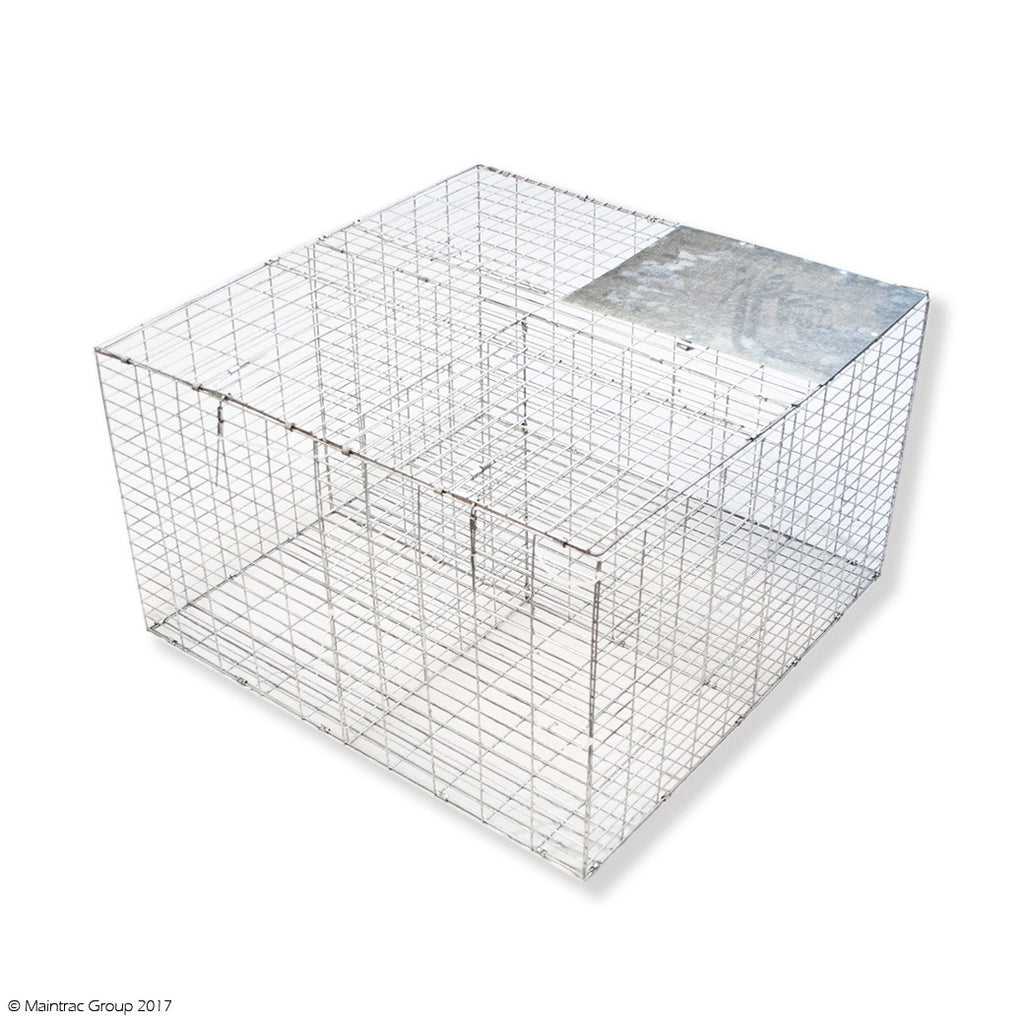 Traps | Animal & Bird Traps | Humane live capture — Pestgard Traps