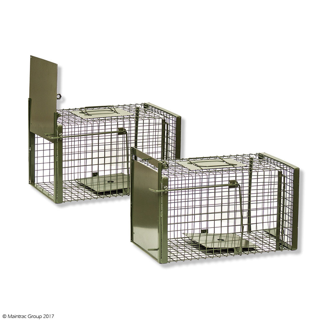 Magpie Traps | Bird & Animal Traps - 2 Pack — Pestgard Traps