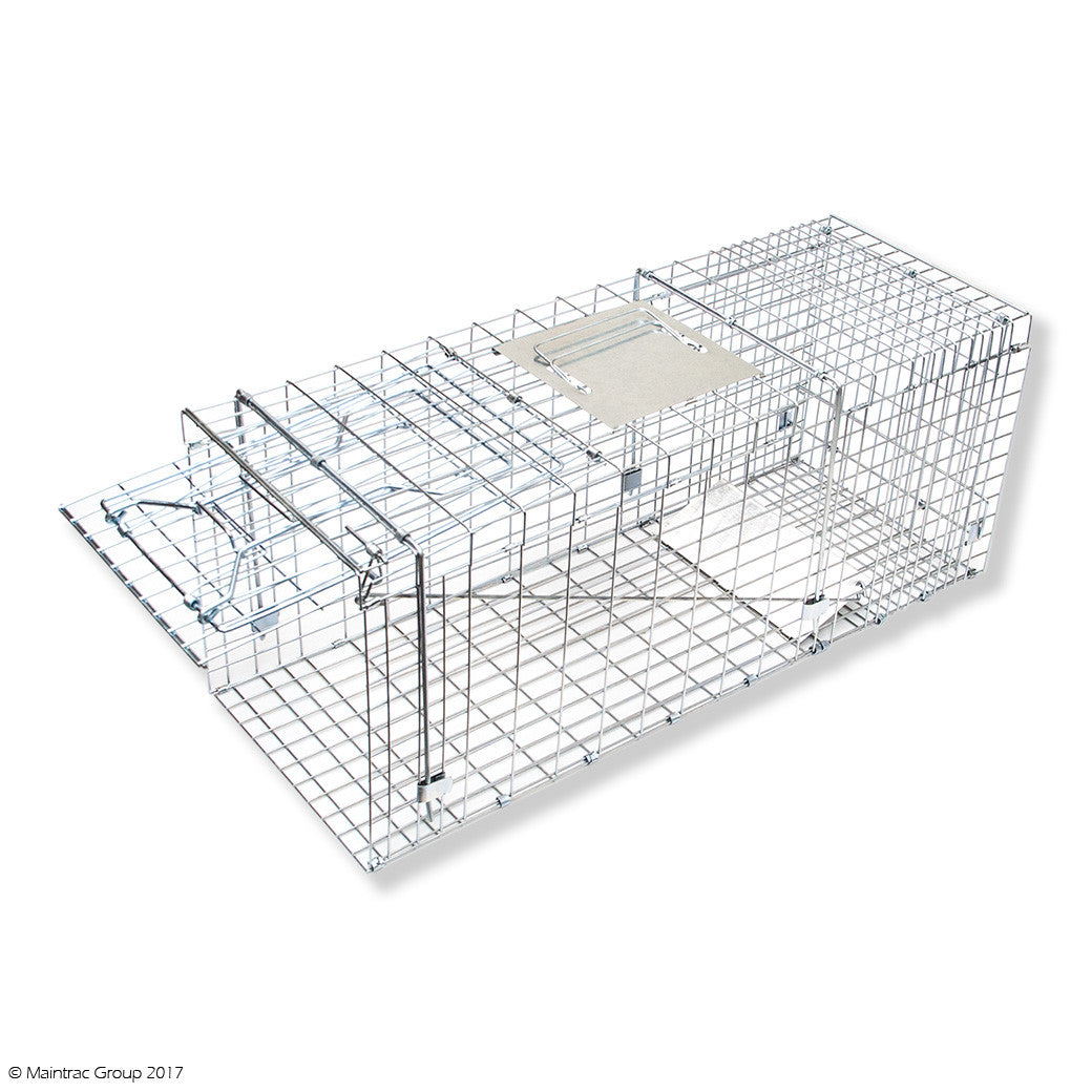 Large Cage Trap | Possum Trap | Cat Trap — Pestgard Traps