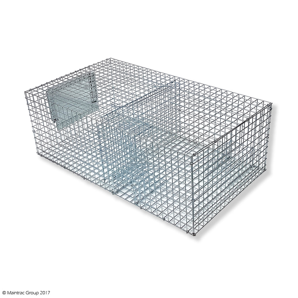 Traps | Animal & Bird Traps | Humane live capture — Pestgard Traps